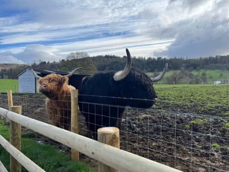 Edinburgh: Kelpies, Stirling Castle & Loch Lomond - What Makes This Tour Stand Out