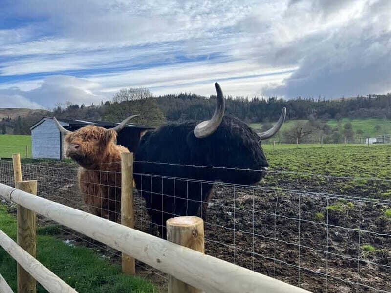 Edinburgh: Kelpies, Stirling Castle & Loch Lomond - What Makes This Tour Stand Out