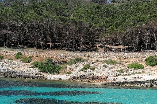 Egadi Islands Boat Tour: Favignana and Levanzo with Lunch - Practical Details and Value