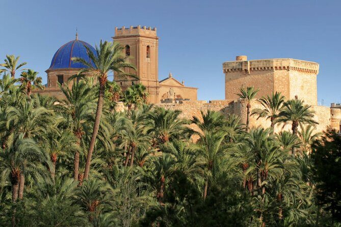 Elche and Santa Pola Half Day Guided Tour - Introduction and Pickup