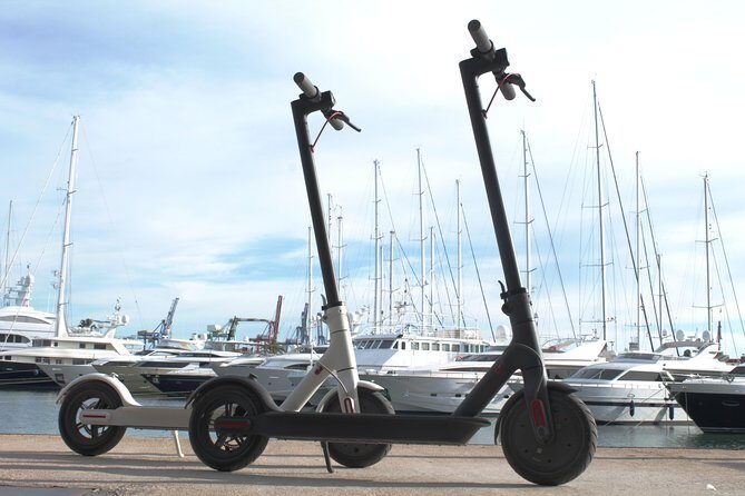 Electric Scooter Rental - The Real-World Experience: What Travelers Say