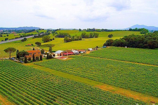 Enjoy a meal with wine tasting in the vineyard of Podere Casanova - The Itinerary: What to Expect on Your Day