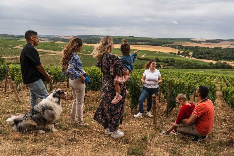 Escapade and tasting in the Chablis vineyards - The Scenic and Educational Highlights