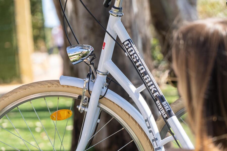 Estepona best kept secrets: City bike guided tour - Final Thoughts