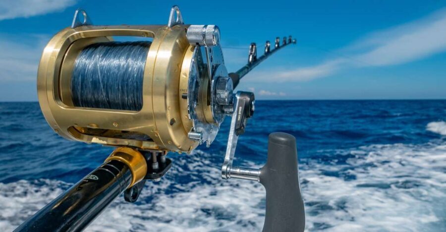 Estepona: Fishing Tour StartFisher 1060 - What’s Included and What’s Not?