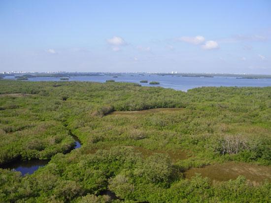 Estero Bay Preserve State Park sign and trail