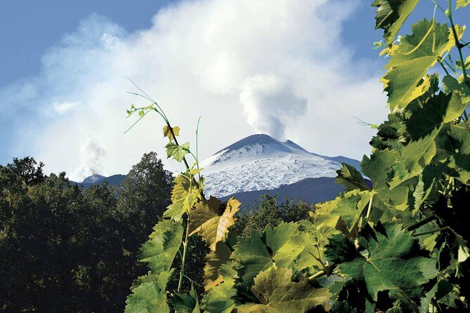 Etna and Wines Tour - What Makes This Tour Stand Out