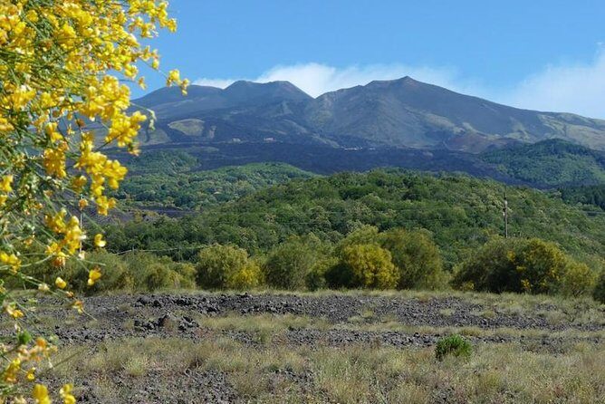 Etna Morning Experience: Cave, Trails & Tasting from Syracuse - The Real Deal: Authenticity and Value