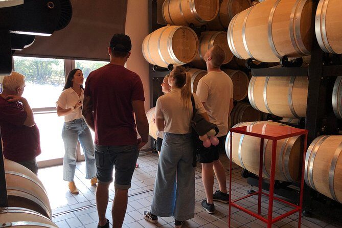 Etna Wine and Food Volcanic Day Tour - Private Experience - Scenic Stops and Panoramic Views