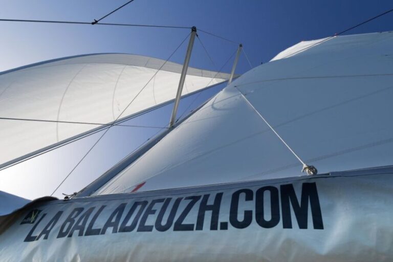 Evening aperitif cruise at the entrance of Morbihan's Gulf - Why This Tour Works Well