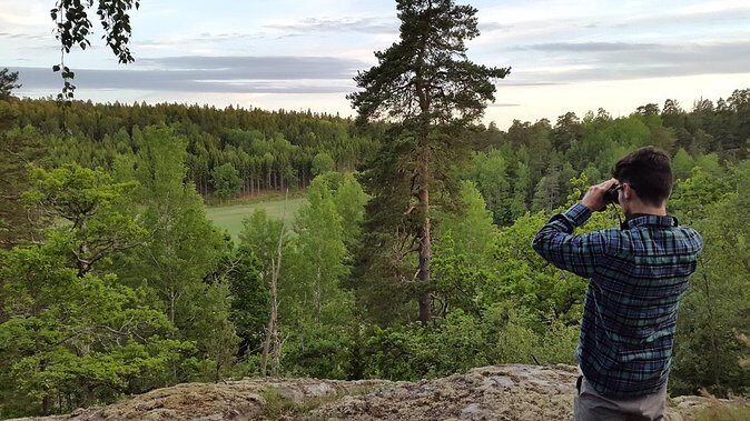 Evening Wildlife Safari Stockholm - Why We Think This Safari Works Well