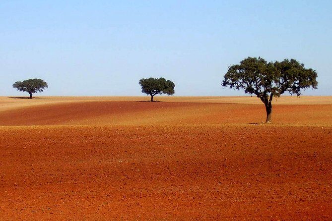 Evora & Alentejo Wines: A Journey Through History and Flavors - Exploring Évora: A City Steeped in History