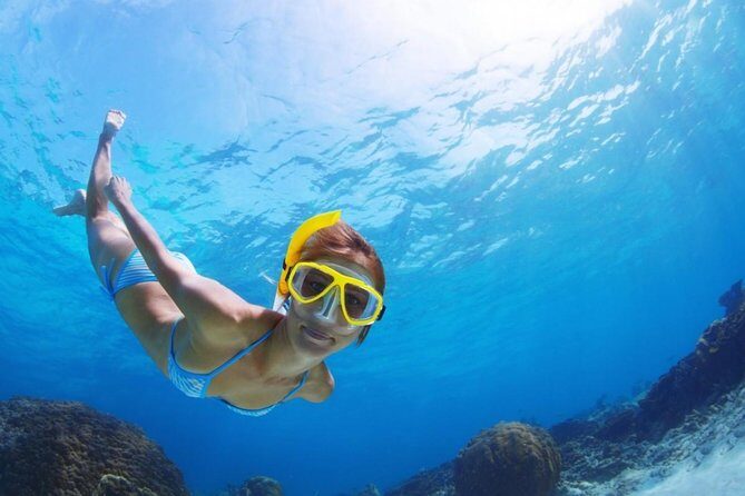 Exclusive Snorkeling Trip Guided by Marine Biology Specialist - An In-Depth Look at the Snorkeling Experience