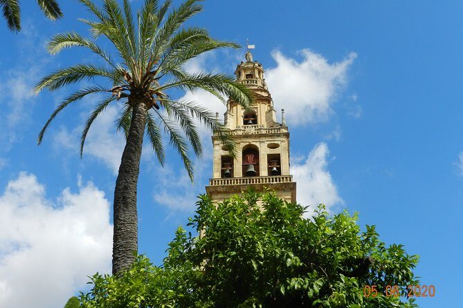 Exclusive visit to the Mosque with official guide. Small groups - Practical Details: How the Tour Works