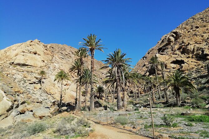 Excursion to Ajuy Caves with a secret Las Penitas canyon Hike - Practical Details: What to Expect