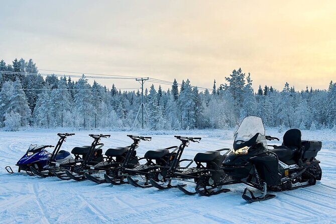 Expedition "INTO THE WILD" Safari and Lunch in Glass Igloo - Authentic Reviews and Insights