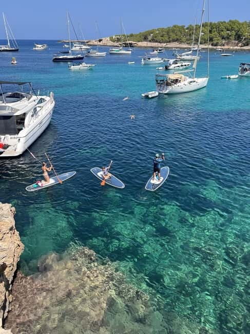 Experience Crystal paddle surf Tours + snorkel - What Reviewers Say