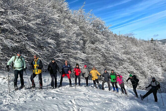Experience Snowshoeing in Olympic Mountain Bjelanica - The Experience Beyond the Scenery