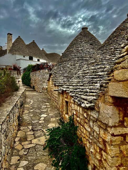 Expert Guided Visit & Tasting, Alberobello - The Tasting Experience: Flavors of Apulia