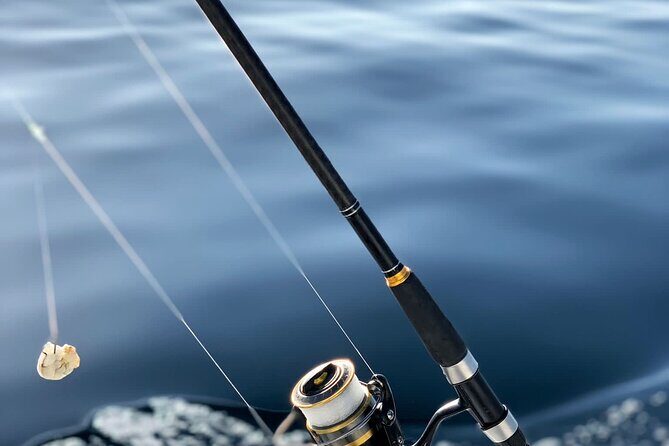Explore Sesimbra Sports Fishing - Practical Details: What You Need to Know