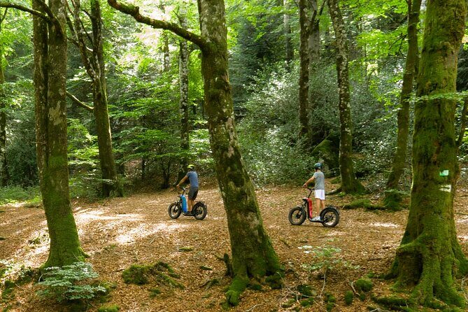 Explore the forests of Haut Languedoc on an electric scooter - Why This Tour Works for Different Travelers