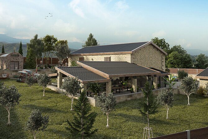 Explore the Secrets of Wine and Olives - Transportation and Comfort