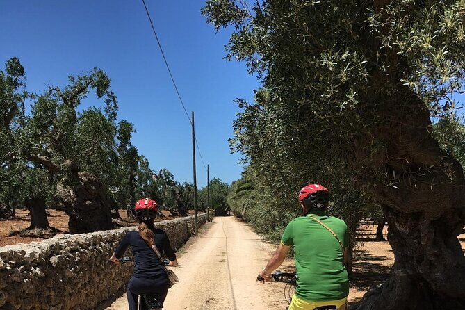Exploring the countryside of Conversano and its monuments by E bike - The Itinerary in Detail