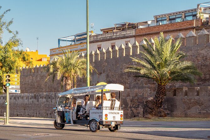 Express Tour of Seville in Private Eco Tuk Tuk - Why Travelers Love This Tour