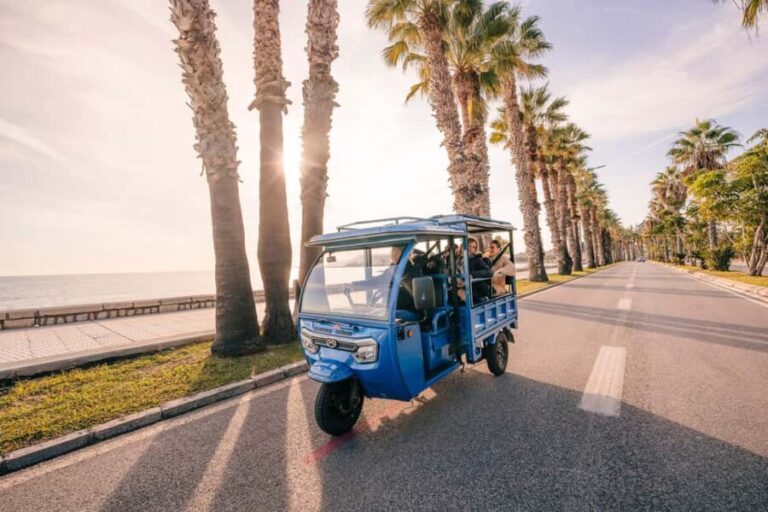 Express Tuk-Tuk Tour in Malaga: Gibralfaro Viewpoint and Photography - The Experience: What Makes It Stand Out