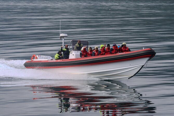 Express Whale Watching in Dalvik - What Sets This Tour Apart
