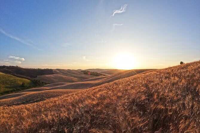 Falconry experience in Tuscany - Is it Worth the Price?