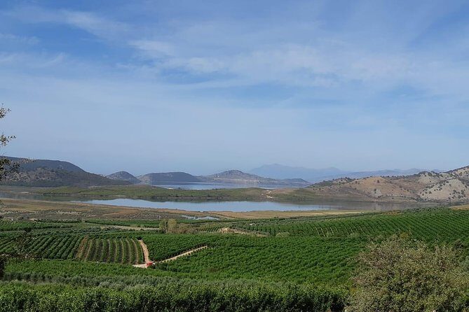 Family Mandarin Farming Tour with Traditional Cooking Lunch - Practical Details and Value