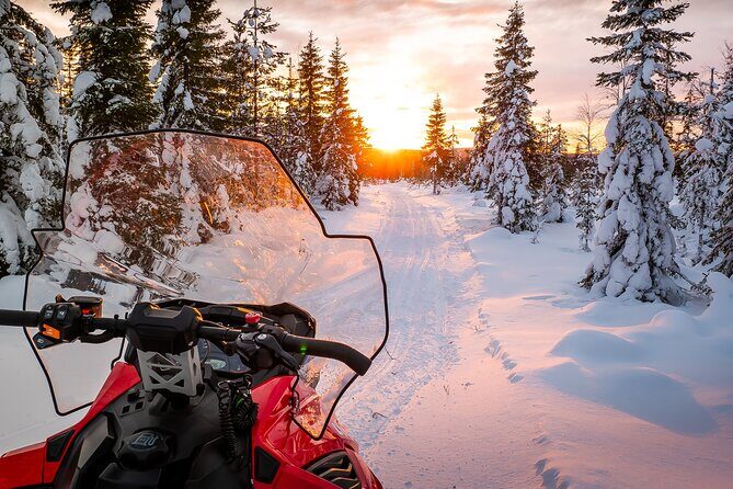 Family Snowmobile Safari in Rovaniemi - Who Would Love This Tour?