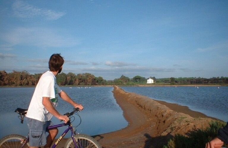 Faro Bike Tour through the Beautiful Ria Formosa - The Practical Side: What’s Included and What to Know