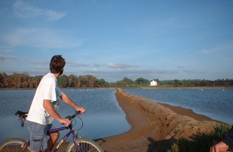 Faro Bike Tour through the Beautiful Ria Formosa - The Practical Side: What’s Included and What to Know