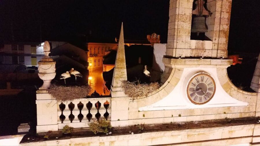 Faro: Night Segway Tour with Cocktails - The Value of This Tour: What Makes It Stand Out