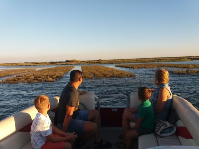 Faro: Ria Formosa Boat Tour - The Value of this Tour