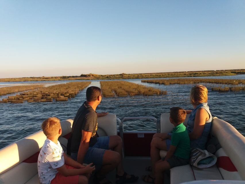Faro: Ria Formosa Boat Tour - The Value of this Tour