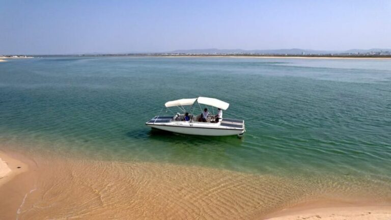 Faro: Ria Formosa Eco Birdwatching Boat Tour - Who Will Love This Tour?