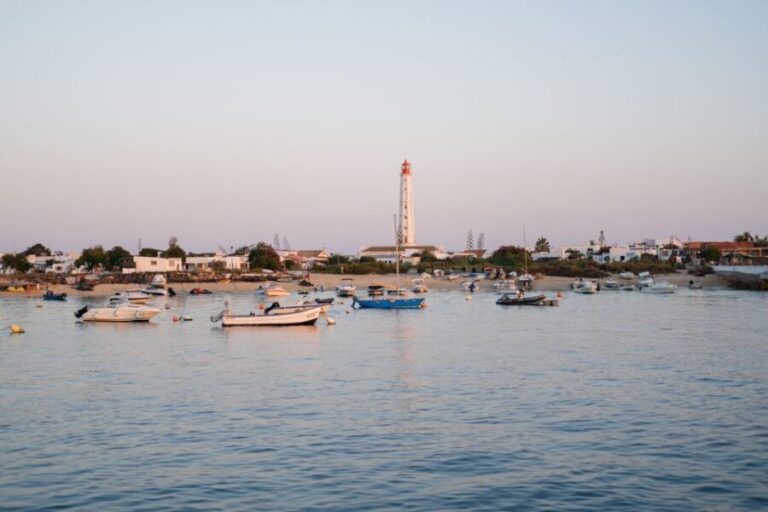 Faro: Ria Formosa Sunset Nature Boat Tour - The Itinerary in Detail