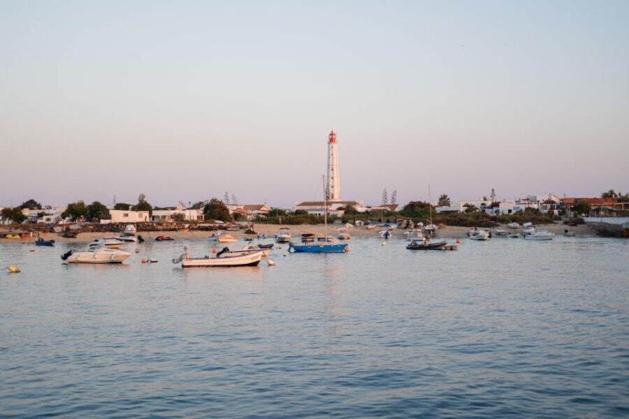 Faro: Ria Formosa Sunset Nature Boat Tour - The Itinerary in Detail