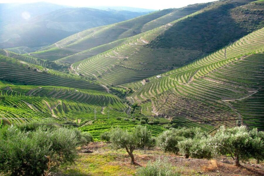 Fatima, Batalha, Nazare, Obidos Private Full Day Tour - What to Expect in Terms of Price, Timing, and Comfort