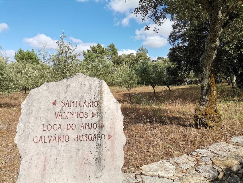 Fatima Full-Day Private Personalized Pilgrimage from Lisbon - Final Thoughts: Is This the Right Tour for You?