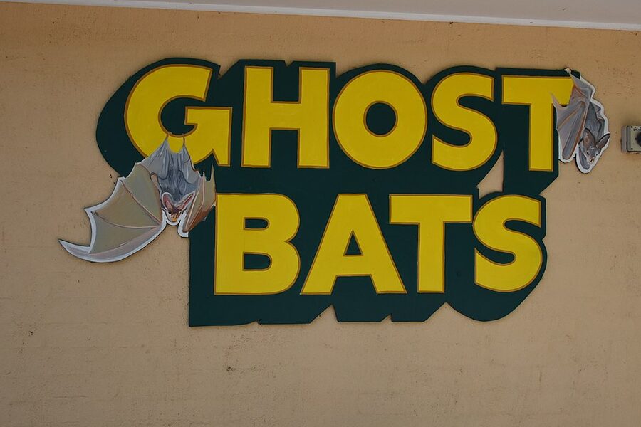 Walkway through animal enclosures at Featherdale Wildlife Park