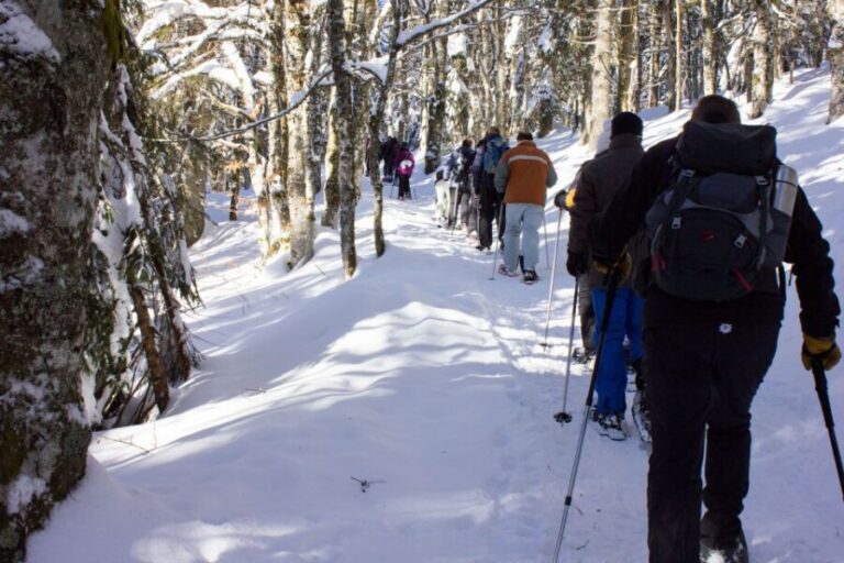 Feldberg: Guided Snowshoeing Tour in the Black Forest - The Itinerary in Detail