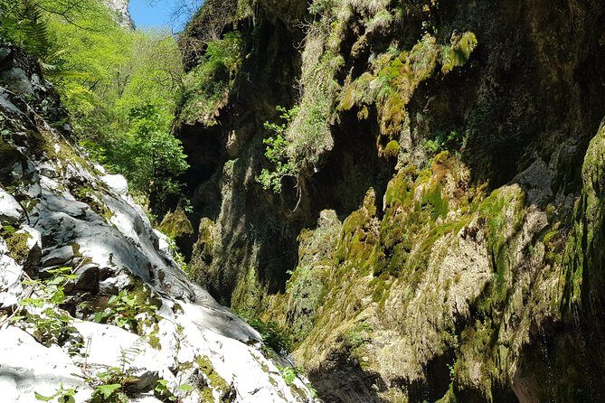 Ferriere waterfalls hike - Amalfi and Ravello Coast - Authentic Local Stops and Optional Extras