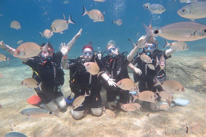 Fethiye Scuba Diving Trip with Mermaid Diving INCL Lunch-Transfer - The Itinerary: What to Expect