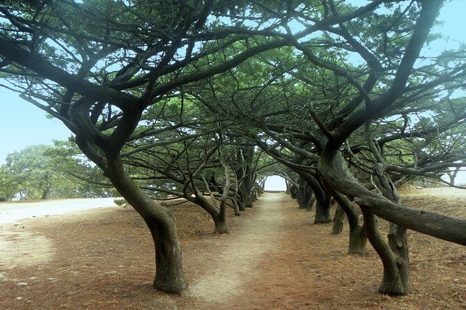 Filerimos Hill & Valley of Butterflies - Who Would Love This Tour?