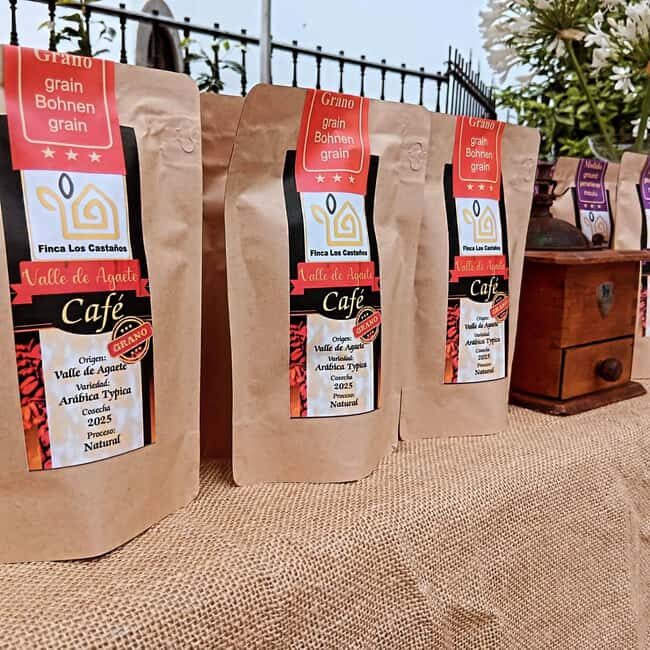 Finca Los Castaños: Agaete Valley Coffee Tour & Tasting - The Practical Side: Pricing, Timing, and Group Size