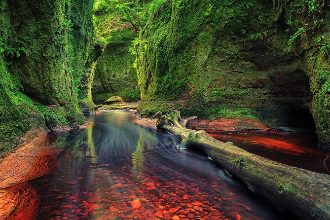 Find a hidden Glen in Scotland's woods - What Makes This Tour Stand Out?